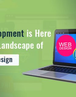 Front-End and Back-End Web Development: All You Need to Know